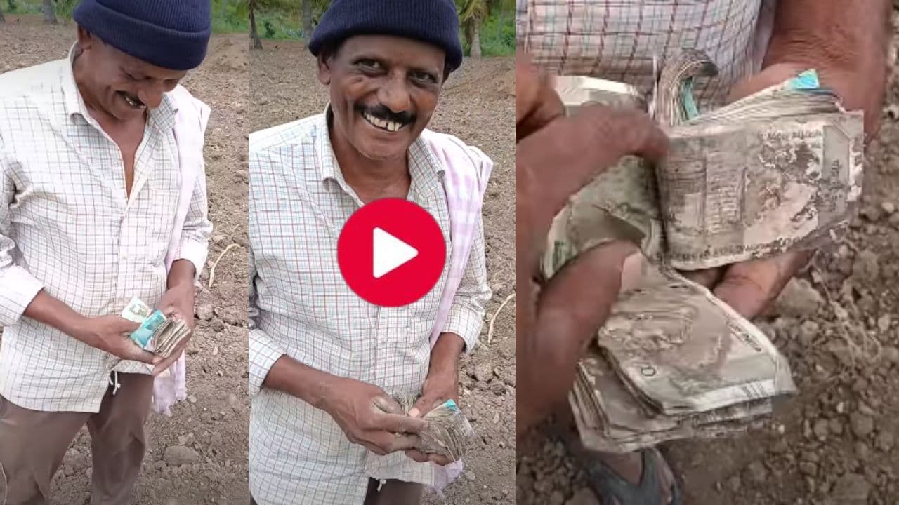 ರೈತನ ಬೆಳೆದ ಜೋಳದ ಫಸಲಿನ ₹17 ಸಾವಿರ ಹಣ ಜಮೀನಲ್ಲೇ ಕಳೆದೋಯ್ತು; 4 ತಿಂಗಳ ಬಳಿಕ ...