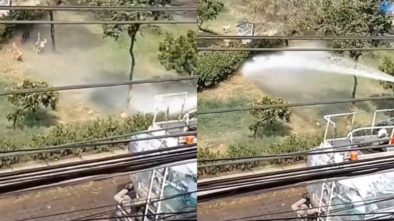 "Literally Made My Whole Day": Viral Video Shows Water Tanker Giving ...
