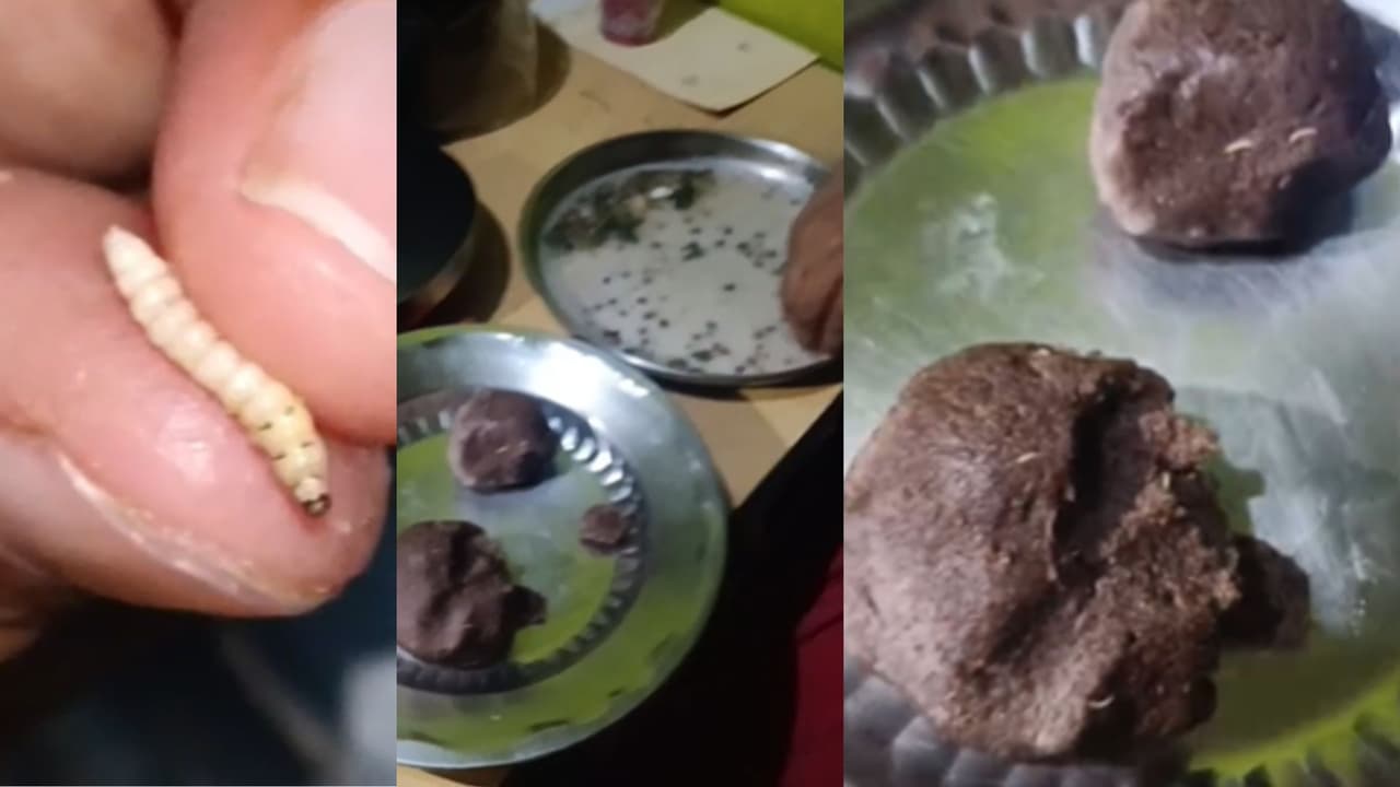 Bengaluru PG: Women Stage Late-Night Protest Over Poor Food and Safety ...