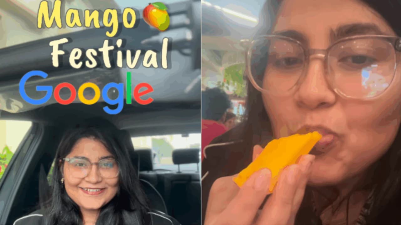 Google Employee Rushes to Office at 4 PM for Mango Festival; Internet ...