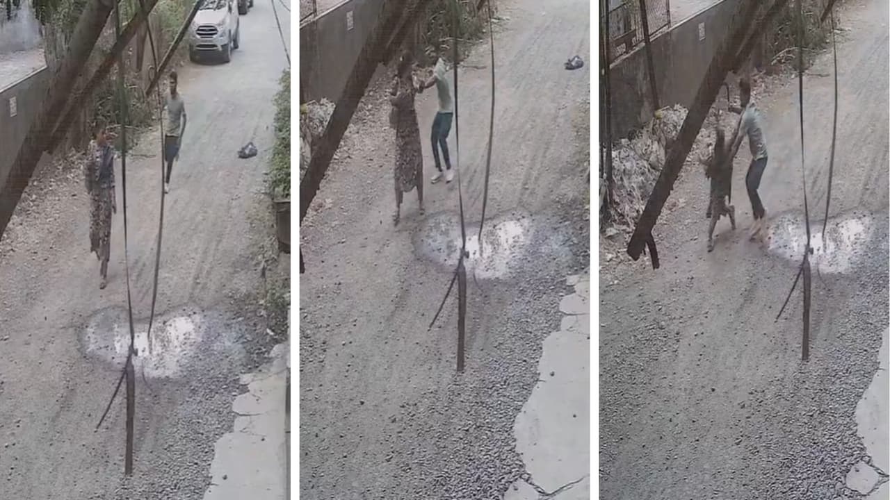 Maharashtra Crime: Palghar Woman Seriously Injured in Daylight Attack ...