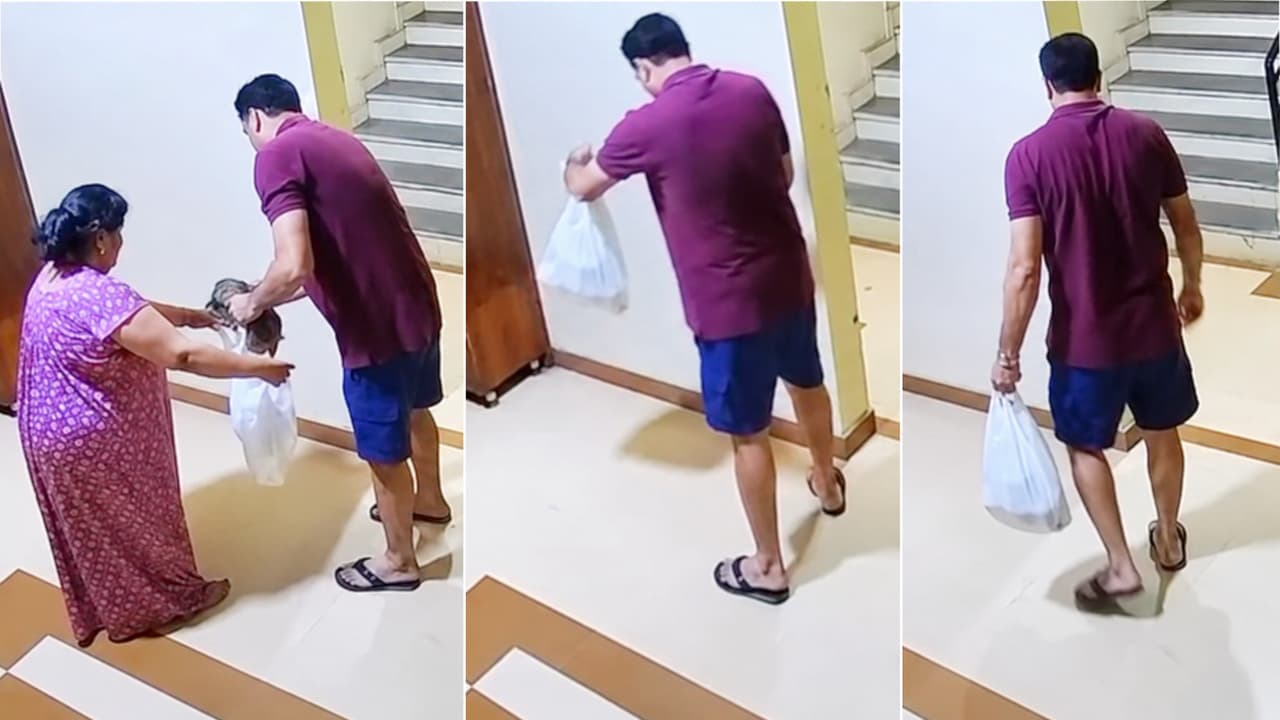Mumbai Viral Video: Man & Woman Allegedly Throw Beloved Society Cat in ...