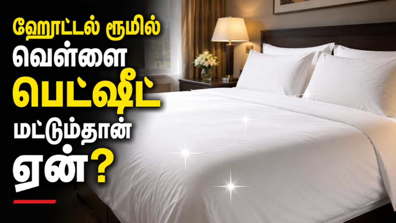 Hotel Secrets: ஹோட்டல் ரூம்ல பெட்ஷீட் ஏன் வெள்ளையா இருக்கு? பின்னால் ...