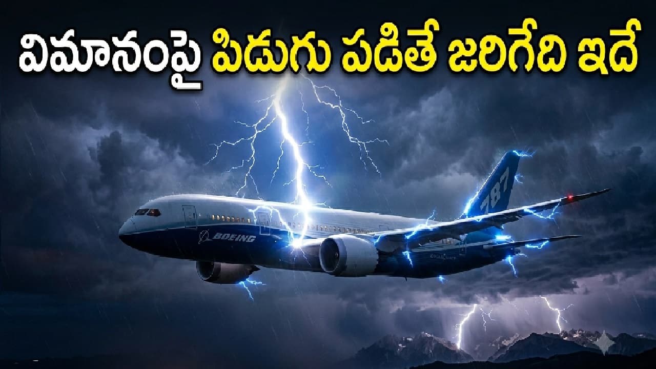 Aeroplane: ఆకాశంలో వెళుతున్న విమానంపై అకస్మాత్తుగా పిడుగు పడితే ఏం ...