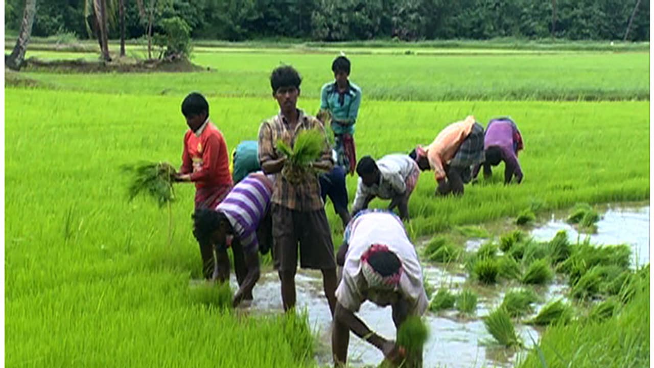 Govt's 'foolproof' mechanism to ensure MSP: Compensating farmers ...