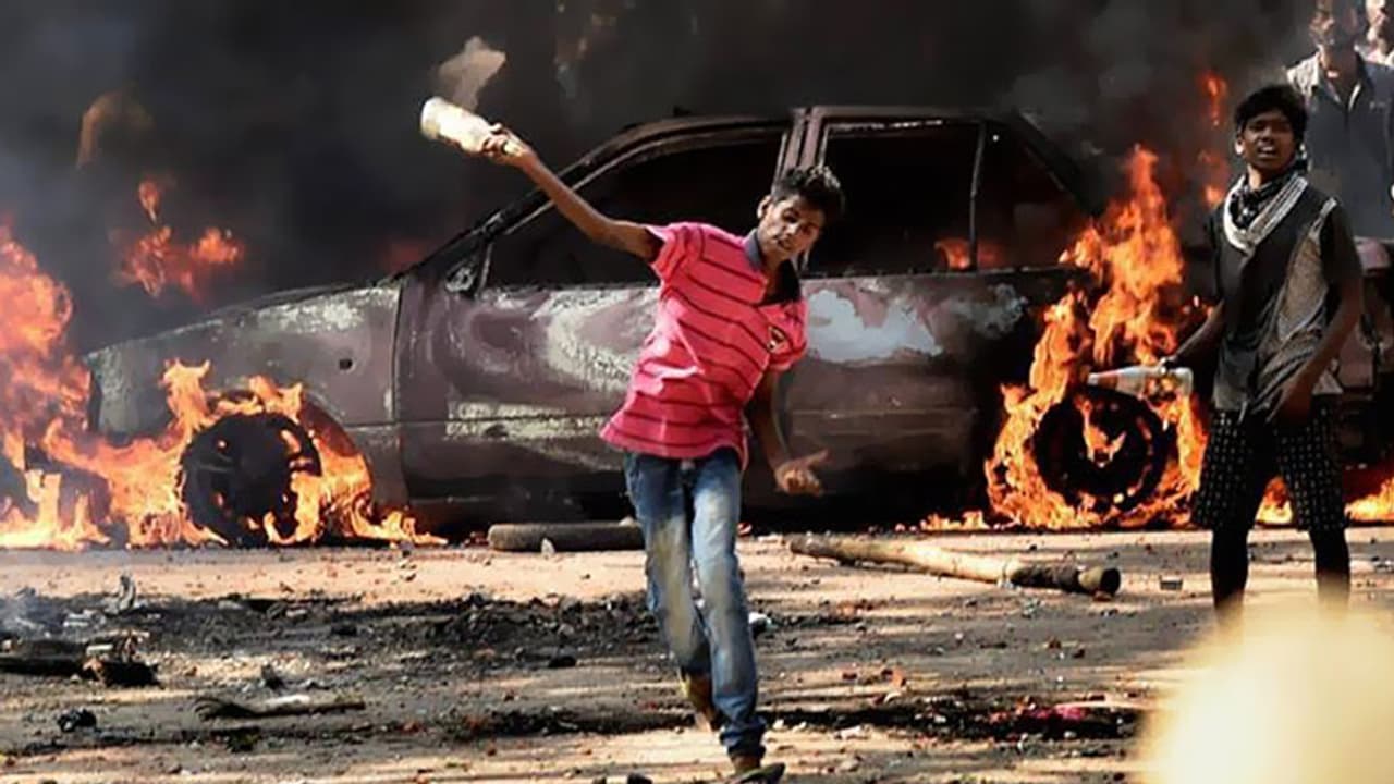 Jallikattu violence: A disaster waiting to happen | Asianet Newsable