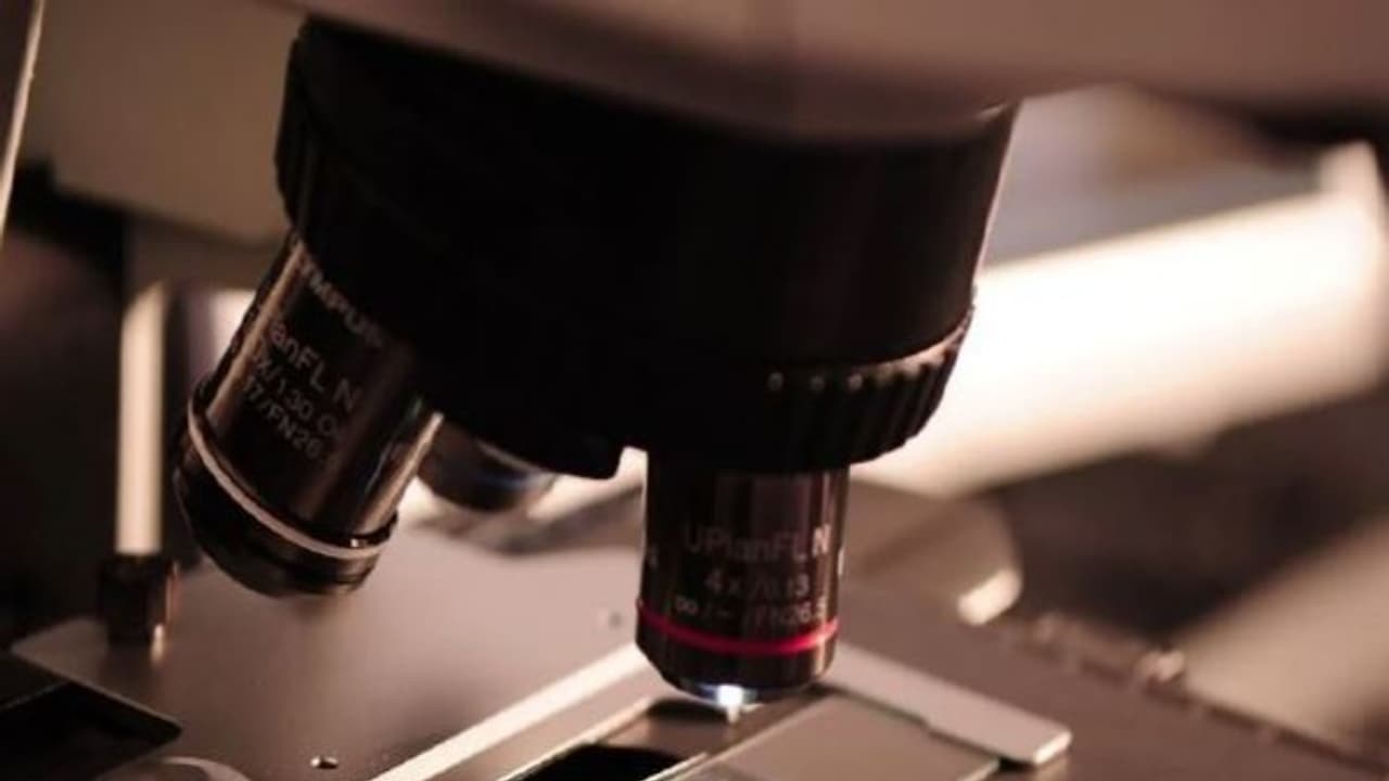 Scientists create ‘e-Taste’ device that could add flavour, allow you to taste cake in virtual ...