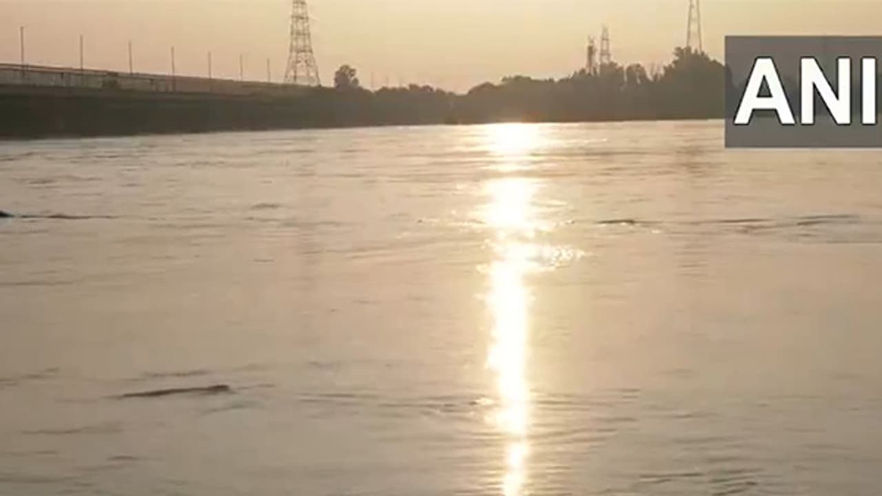 Yamuna River crosses danger mark in Delhi; national capital on alert | Asianet Newsable