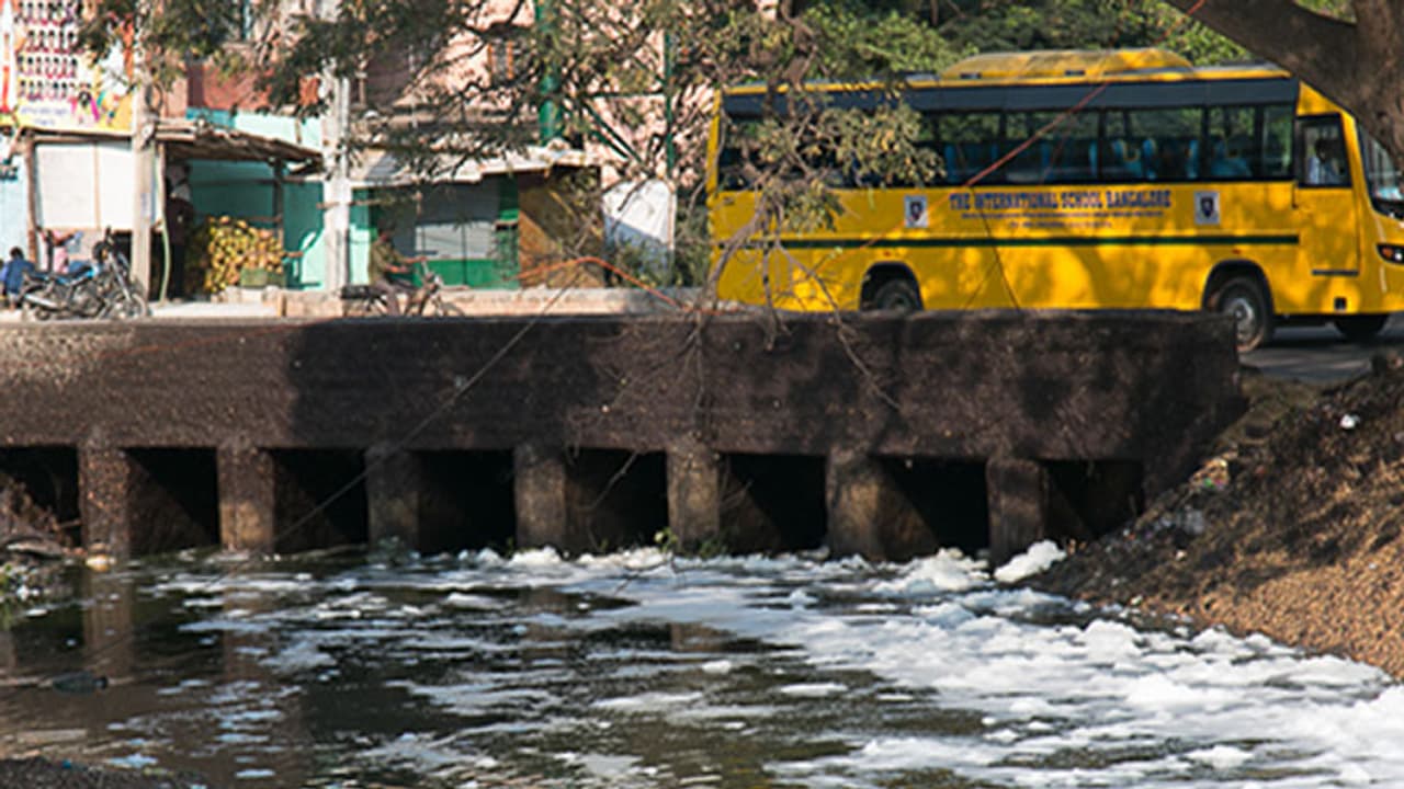 In pics: This is how we killed Varthur Lake with our greed | Asianet ...