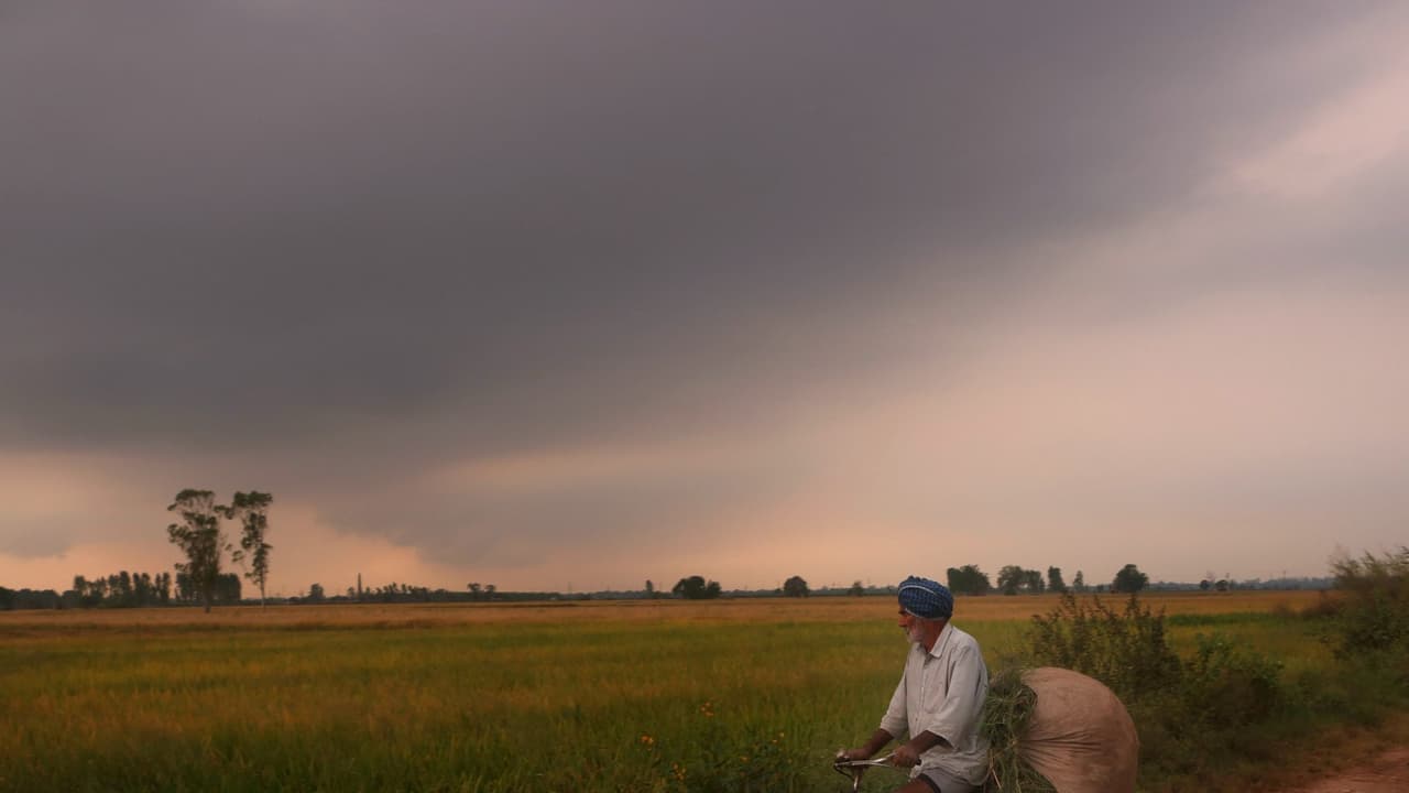 Punjab paddy arrival nears 150 LMT, over Rs 32,000 crore paid to ...