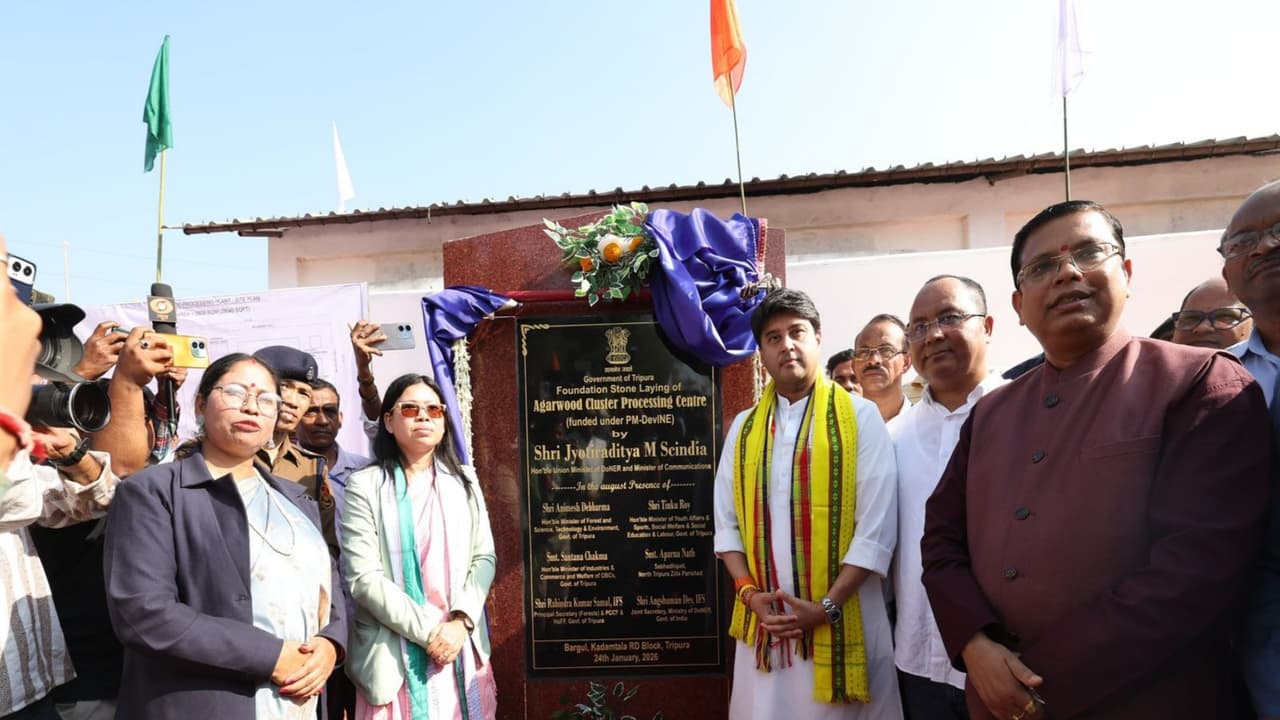 Tripura: Scindia launches Rs 80 cr scheme for Agarwood value chain ...