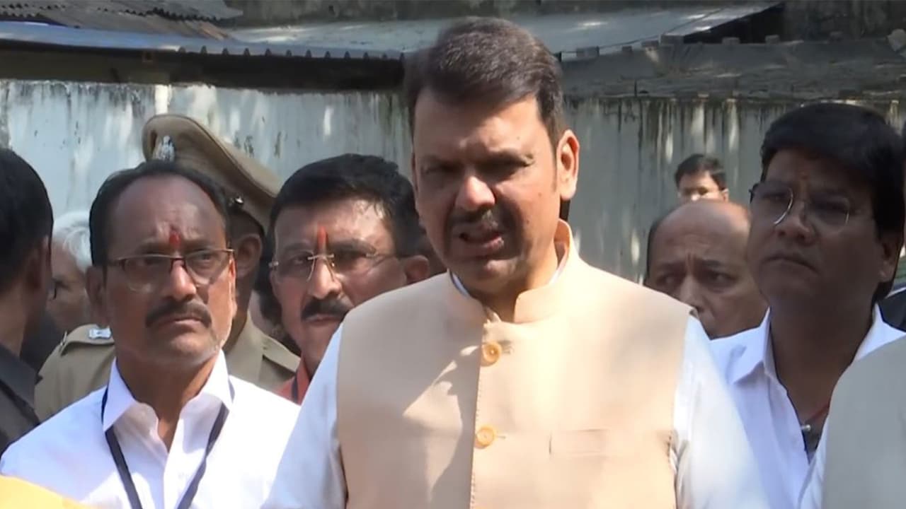 Fadnavis dismisses ink claims, tells EC to 'use oil paint if needed ...