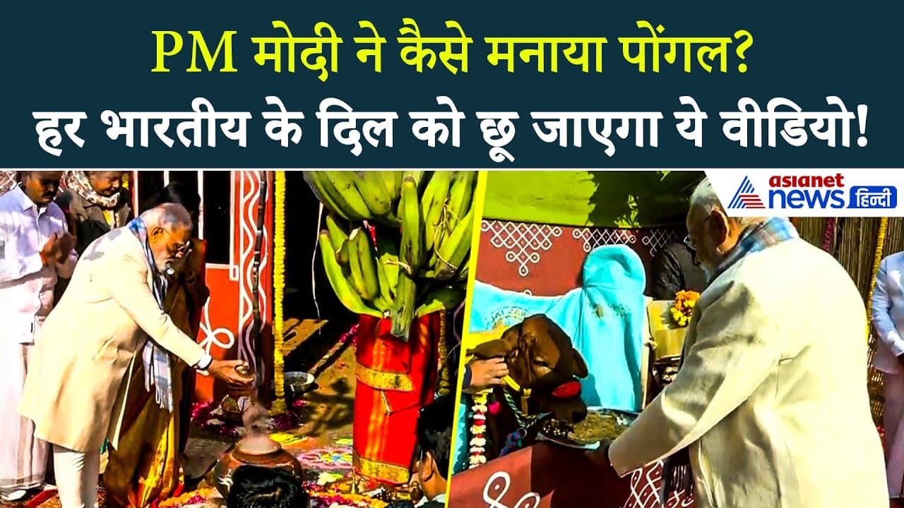 गौ सेवा, पूजा पाठ और... मंत्री एल मुरुगन के घर पोंगल मनाने पहुंचे PM ...
