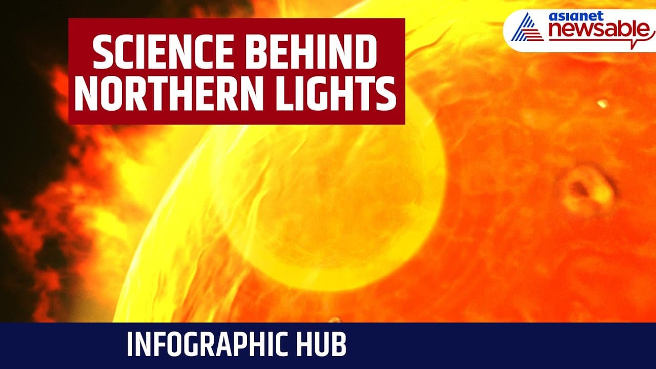 Infographic Hub | Polar Auroras: Science Behind Northern and Southern ...