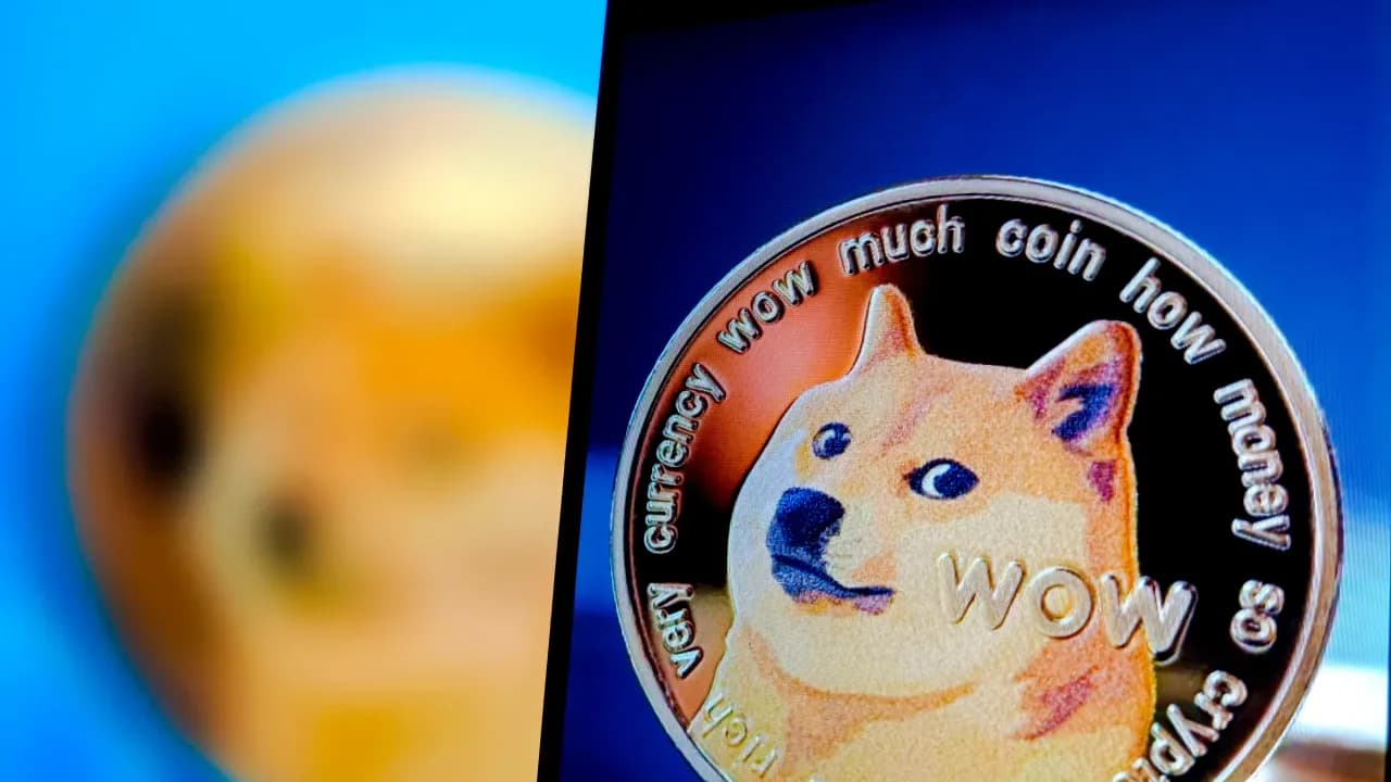 Dogecoin Rallies Nearly 20% In A Day As Corporate Treasuries Accumulate ...
