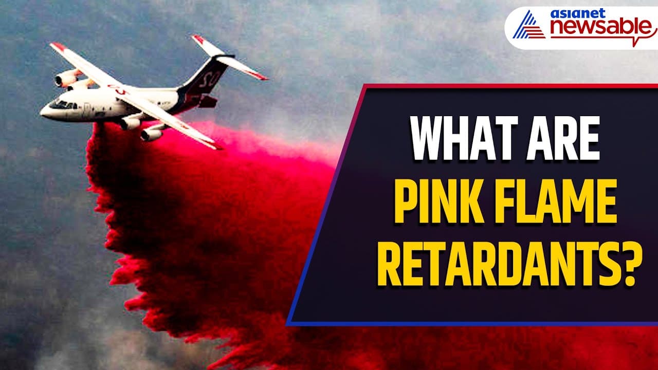 World Pulse | What are Pink Flame Retardants Used in California ...