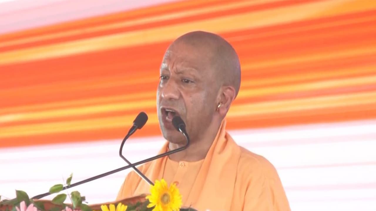 We finished off mosquitoes and mafia in Kushinagar: Yogi Adityanath ...