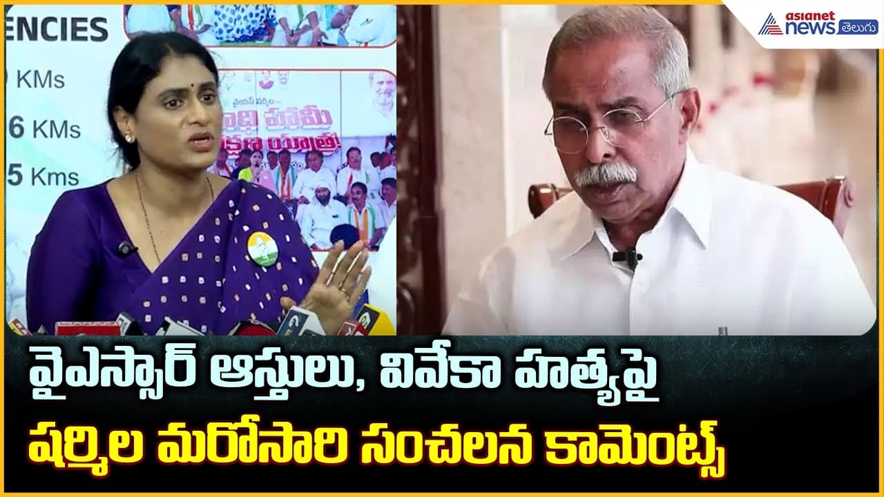 YS Sharmila Pressmeet: వైఎస్సార్ ఆస్తులు, వివేకా హత్యపై షర్మిల సంచలన ...