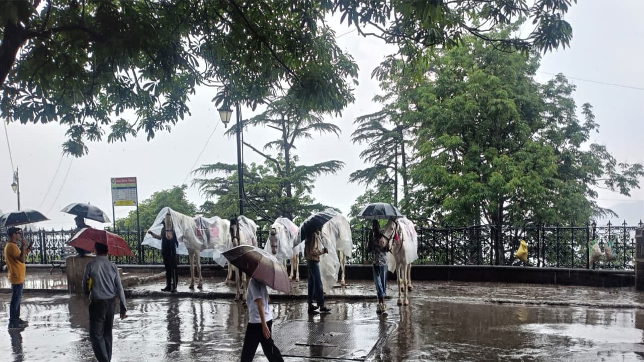 Tourists flock to Shimla for relief from plains' heat, pollution ...