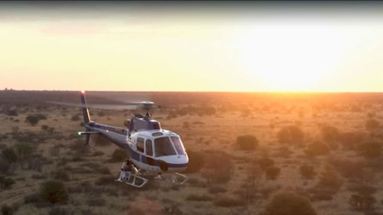 Tata, Airbus Open India's First Private Helicopter Assembly Line ...
