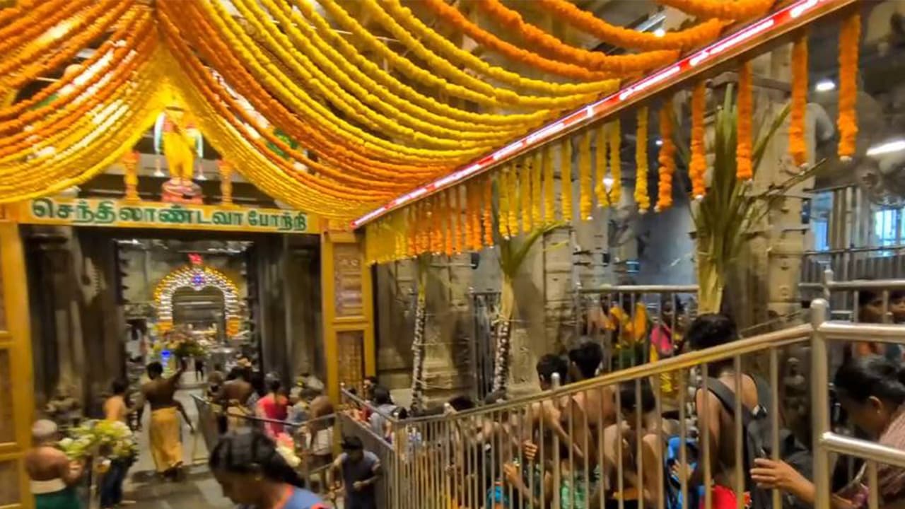 Vaikasi Visakam: Thousands throng Madurai's Murugan temple for festival ...