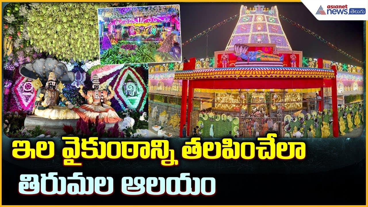 Tirumala Temple Decoration: ఇల వైకుంఠాన్ని తలపించేలా తిరుమల ఆలయం ...