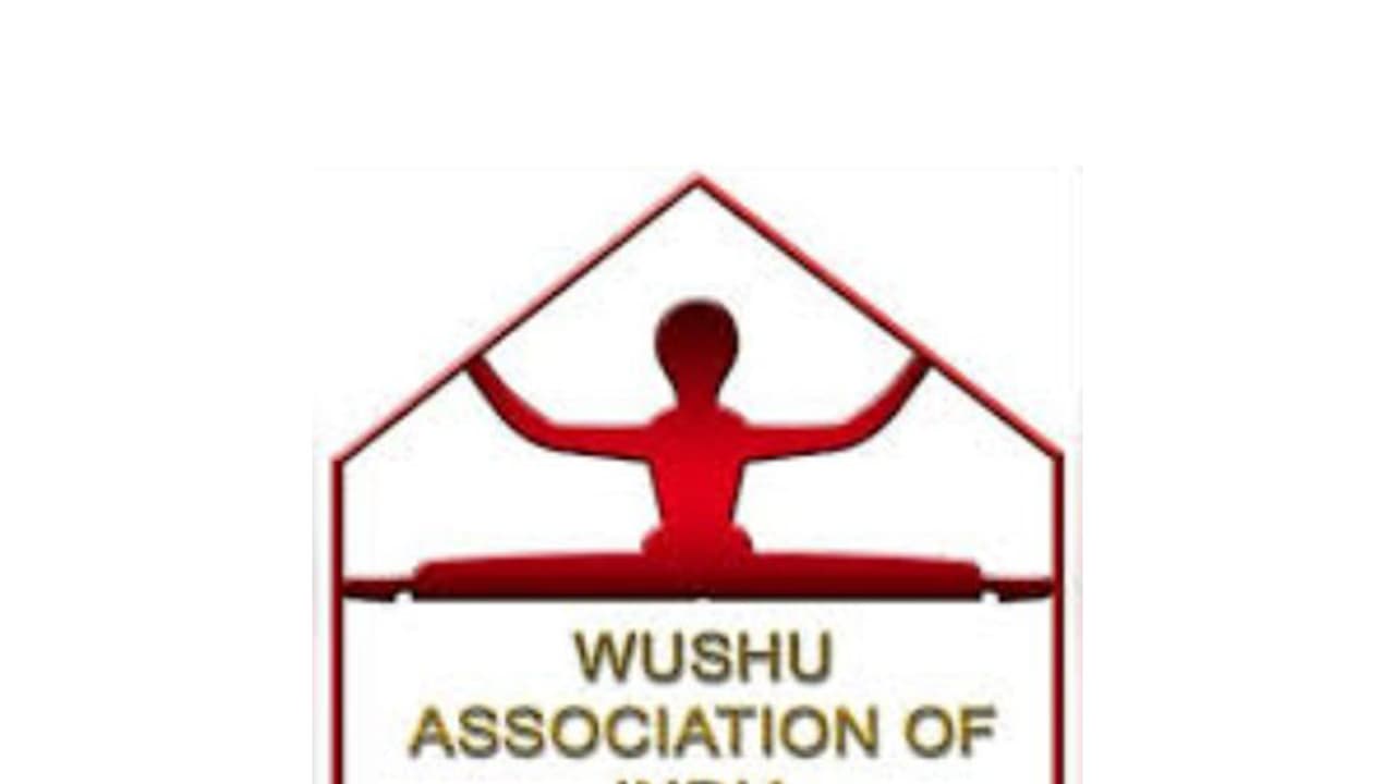 Delhi HC stays WAI's disaffiliation notice against Delhi Wushu body ...