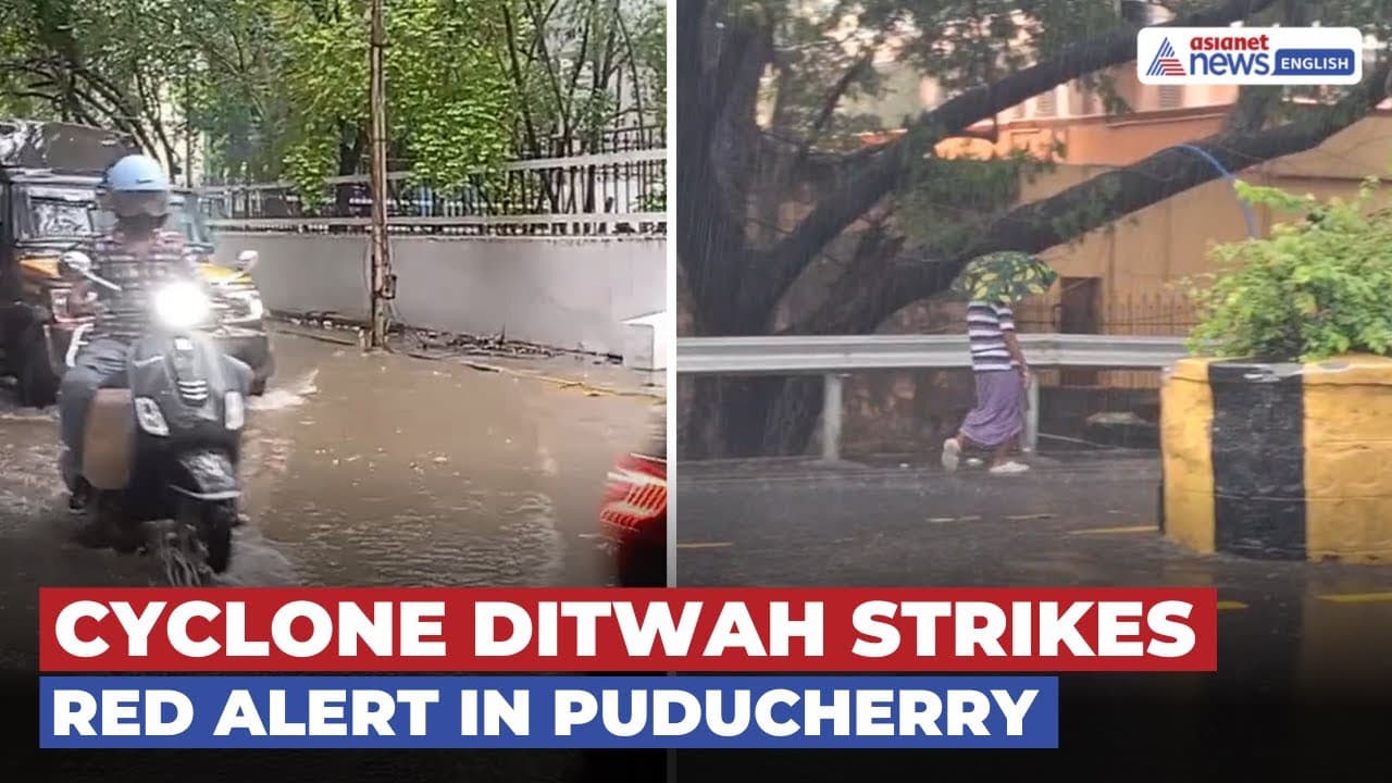 Cyclone Ditwah Strikes: Puducherry Under Red Alert | Asianet Newsable