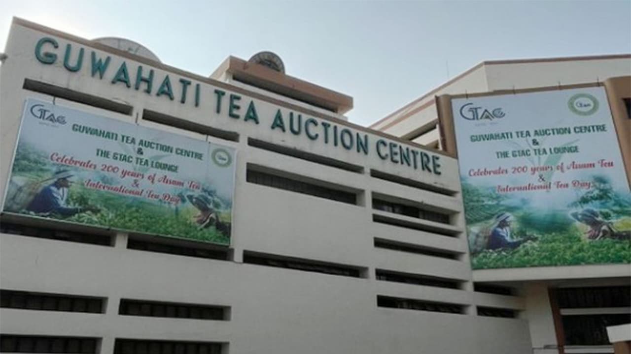 Guwahati Tea Auction: Deckiajuli CTC leaf sold for stunning Rs 1,103 ...
