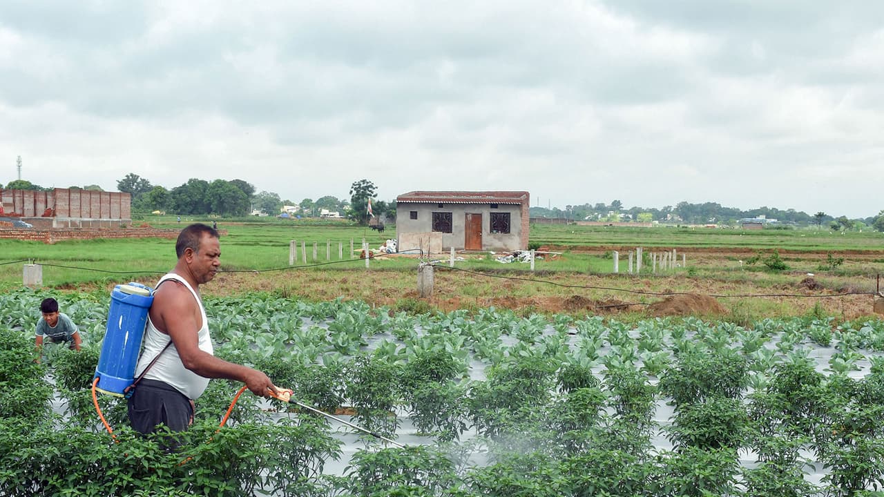 Weak Monsoon Start Hits Kharif Sowing, Raises Food Price Concerns ...