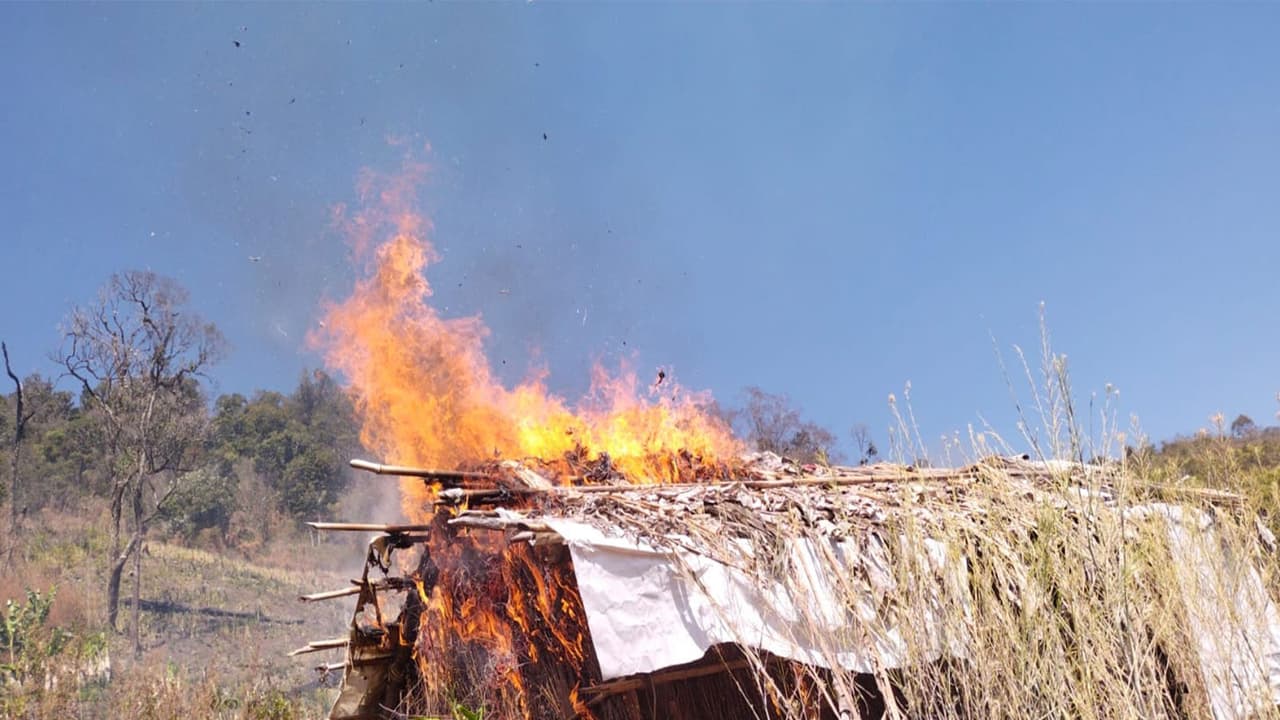 Security forces destroy poppy plantation, arrest PREPAK cadre in ...