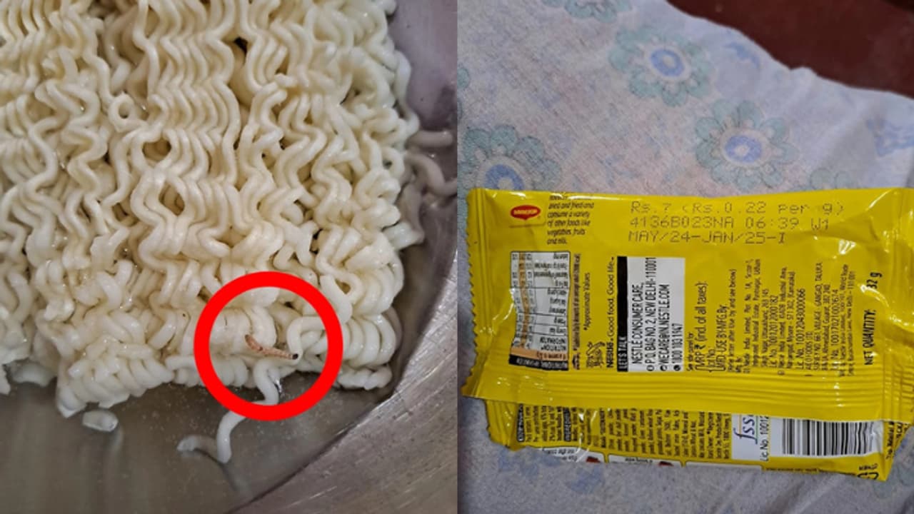 Maggi का पैकेट खोला तो निकले ज़िंदा कीड़े! कंपनी पर गिरी गाज़ ...