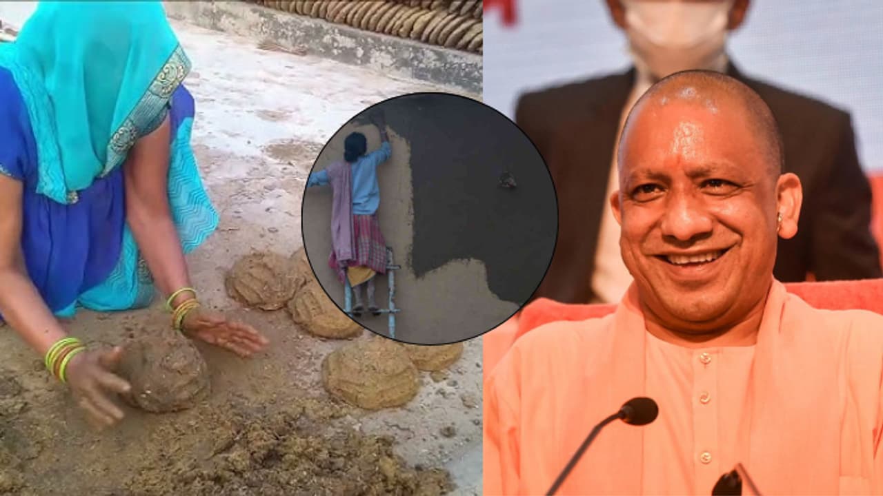Cow Dung Paint! ಯುಪಿಯ ಹೊಸ ಯೋಜನೆ | Cow Dung Paint Initiative In Uttar ...