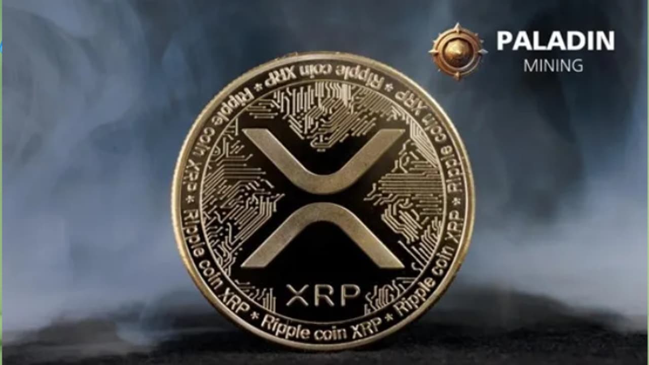 Paladin mining: ప్ర‌తీ రోజూ రూ. 2500 సంపాద‌న‌.. క్లౌడ్ మైనింగ్‌తో సాధ్య ...