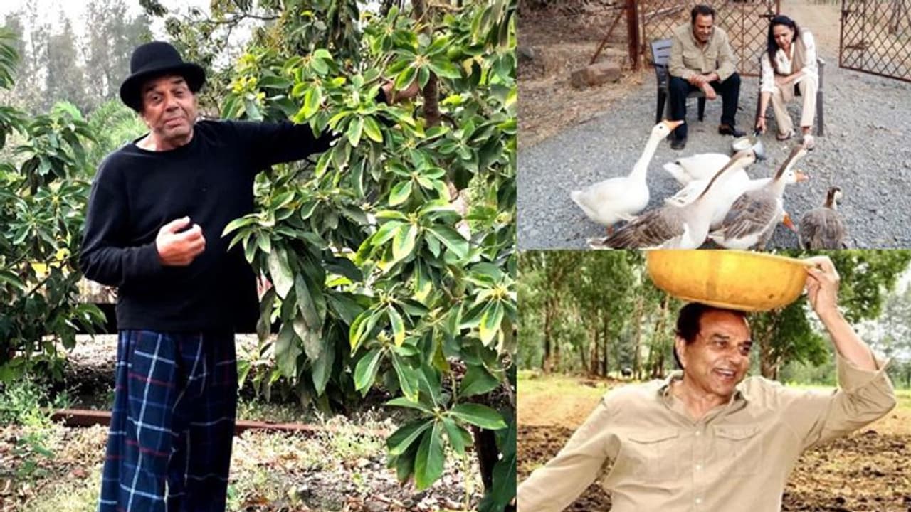 Dharmendra luxurious Farmhouse in lonavala inside photos | Dharmendra ...