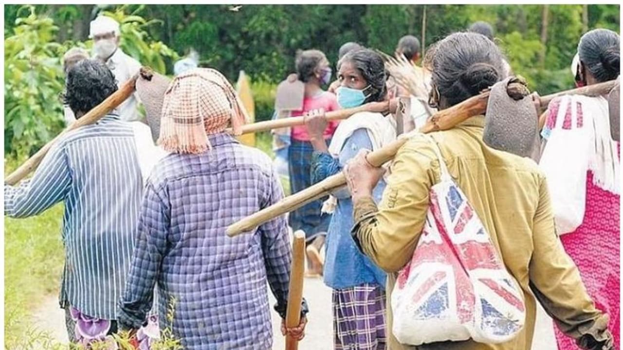 100 days work scheme : 100 நாள் வேலை: ஊதியம் கிடைக்காமல் தவிக்கும் ...