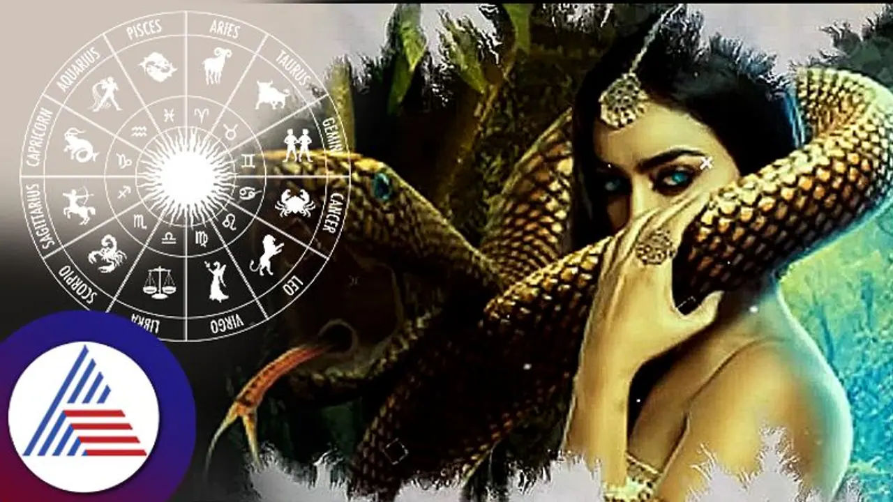 ವಿಷಕನ್ಯಾ ಯೋಗ ಇದ್ದರೆ ವೈವಾಹಿಕ ಜೀವನಕ್ಕೆ ಸಂಕಷ್ಟ, ಇದಕ್ಕೆ ಪರಿಹಾರವೇನು? | Effects Of Vishakanya Yoga In ...