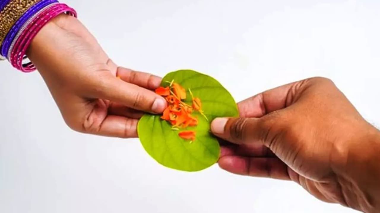 Vijayadashmi 2023: Why do people distribute 'Sona' or 'Apta' leaves on ...