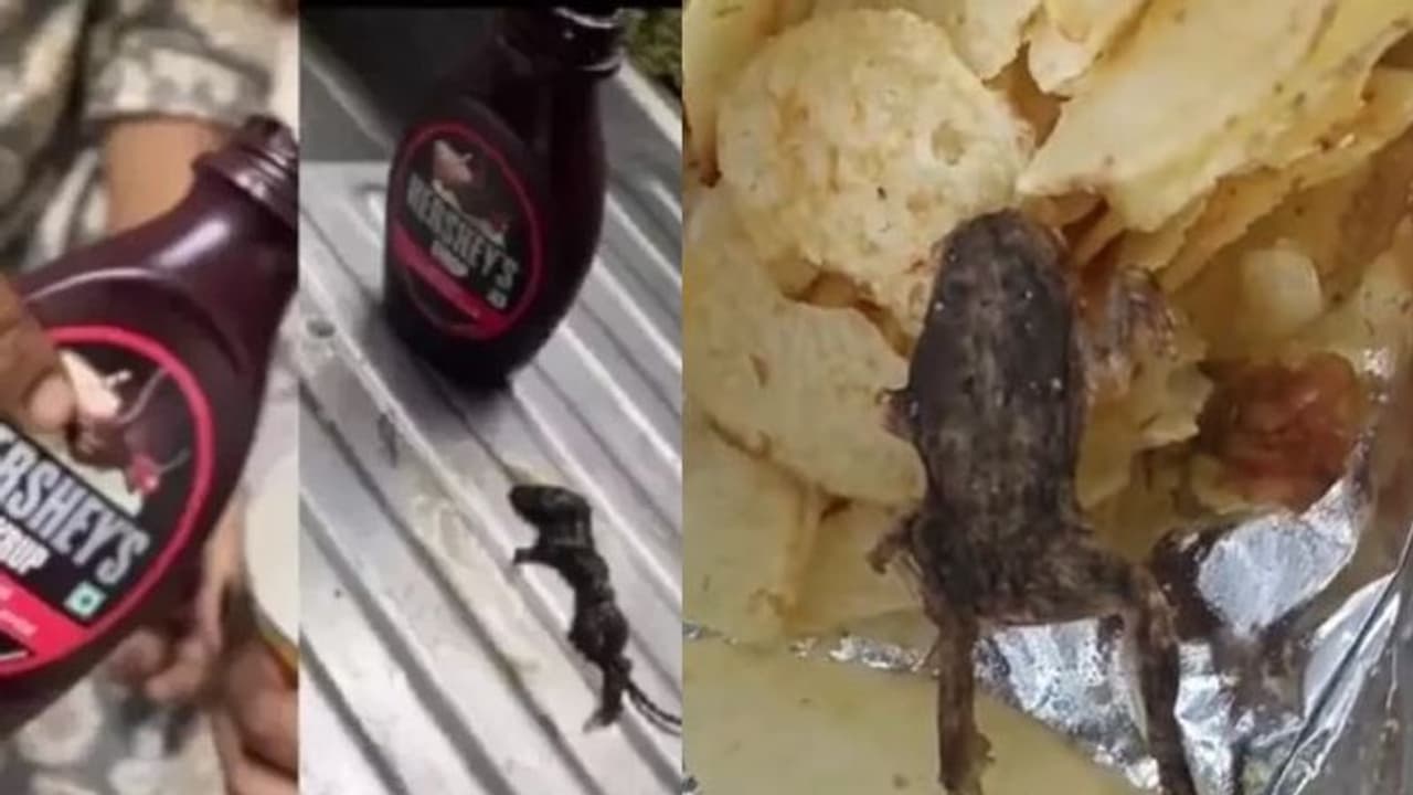 ಬ್ಲೇಡ್‌, ಚೇಳು, ಬೆರಳು, ಬಳಿಕ Hershey chocolate syrupನಲ್ಲಿ dead Rat.. chips packetನಲ್ಲಿ fried frog ...