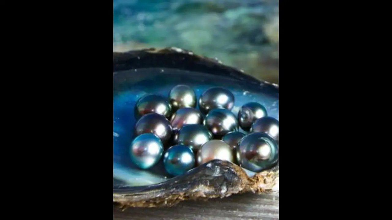 China to India: Discover the top 7 pearl-producing countries worldwide ...