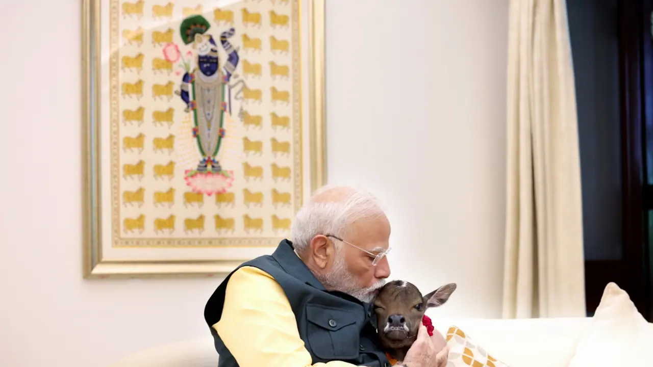 PM Residenceಕ್ಕೆ ಬಂದ New guest Calfಗೆ Deepjyoti ಎಂದ ಮುದ್ದಾದ ಹೆಸರಿಟ್ಟ ...