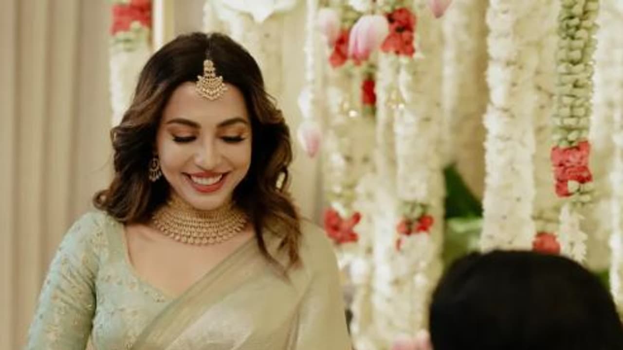 Parvathy Nair wedding photos: தொழிலதிபரை மணந்த GOAT பட நடிகை! கேரள ...