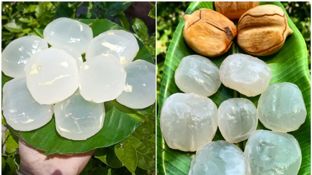 Nutrition Guide: 7 health benefits of eating Ice-Apple THIS summer ...