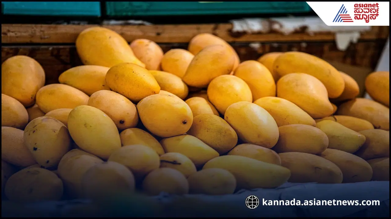 Mango Check: Simple ways to identify naturally ripened vs chemically ...