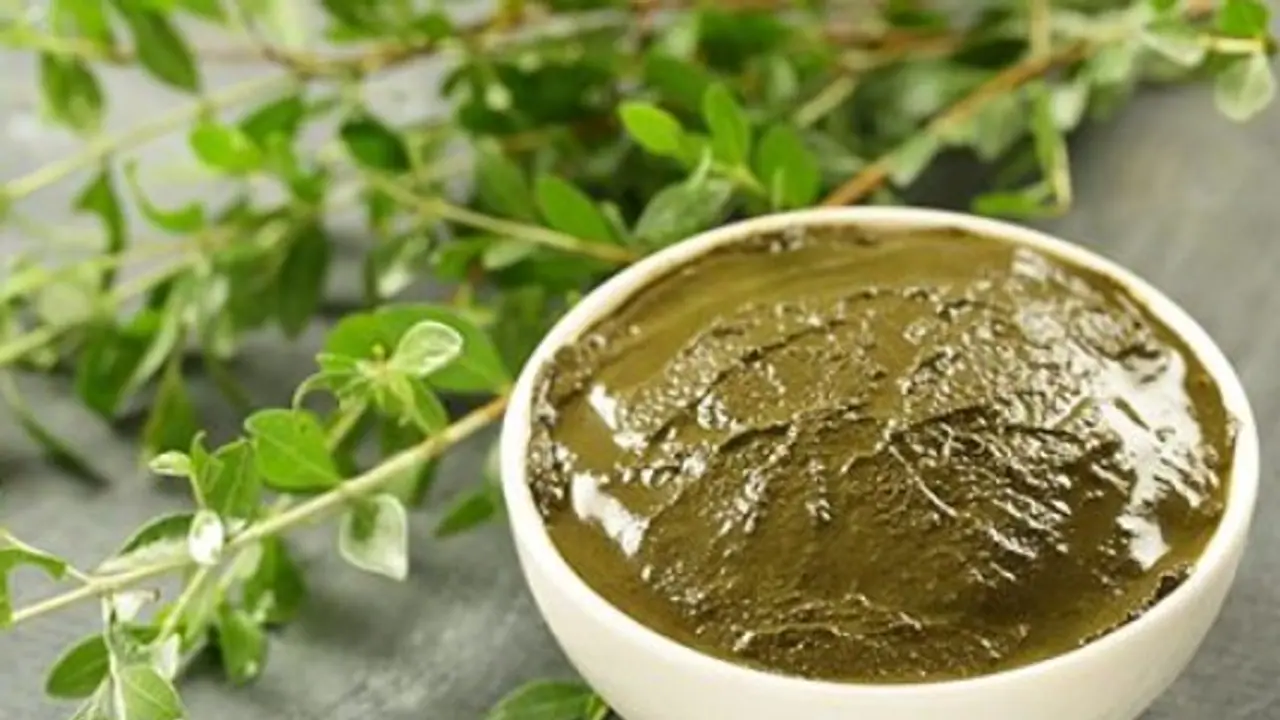 Maruthani Plant Vastu Tips | வீட்டில் மருதாணி செடி வளர்க்கலாமா? வாஸ்து ...