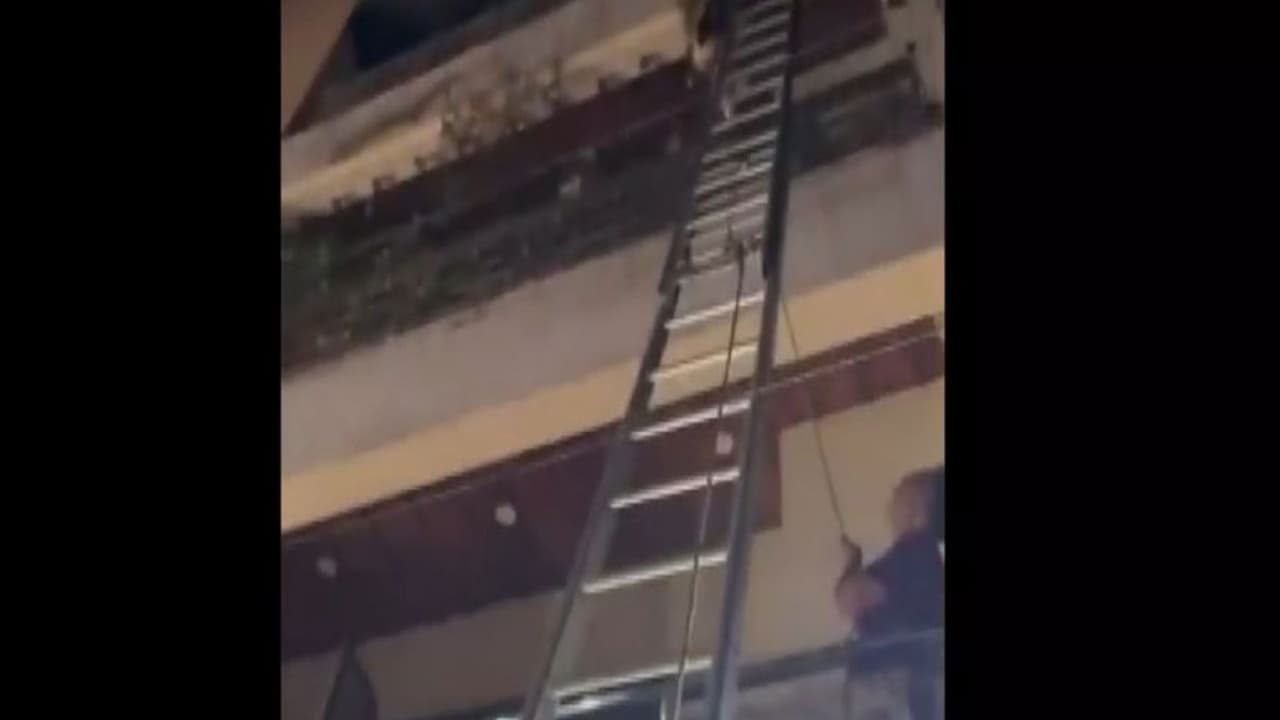 Ghaziabad: Fire at apartment building kills 3 pet dogs, traps residents ...