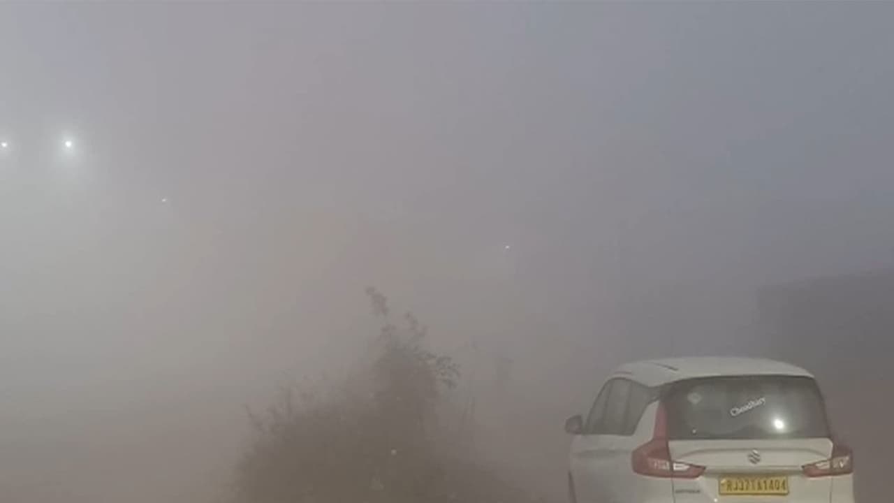 Cold wave: Dense fog blankets Jaipur, visibility drops, AQI worsens ...