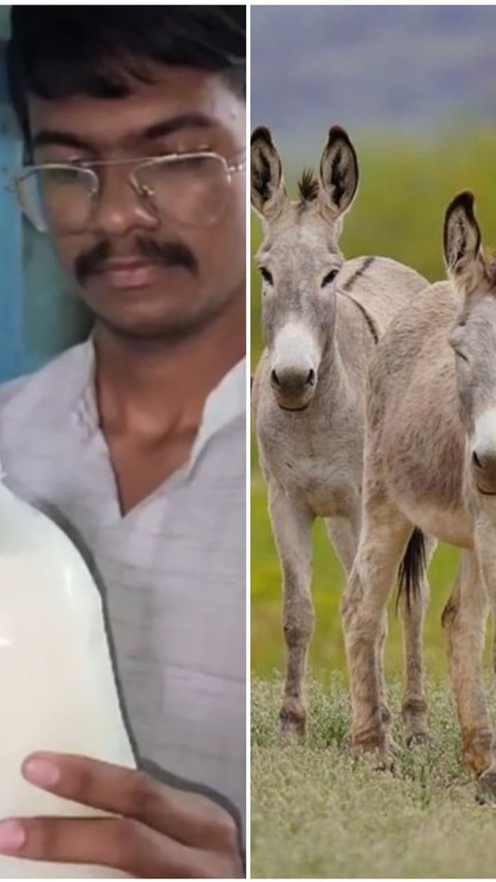 Man quit govt job to sell donkey milk; earns Rs 3 lakh per month | Man ...