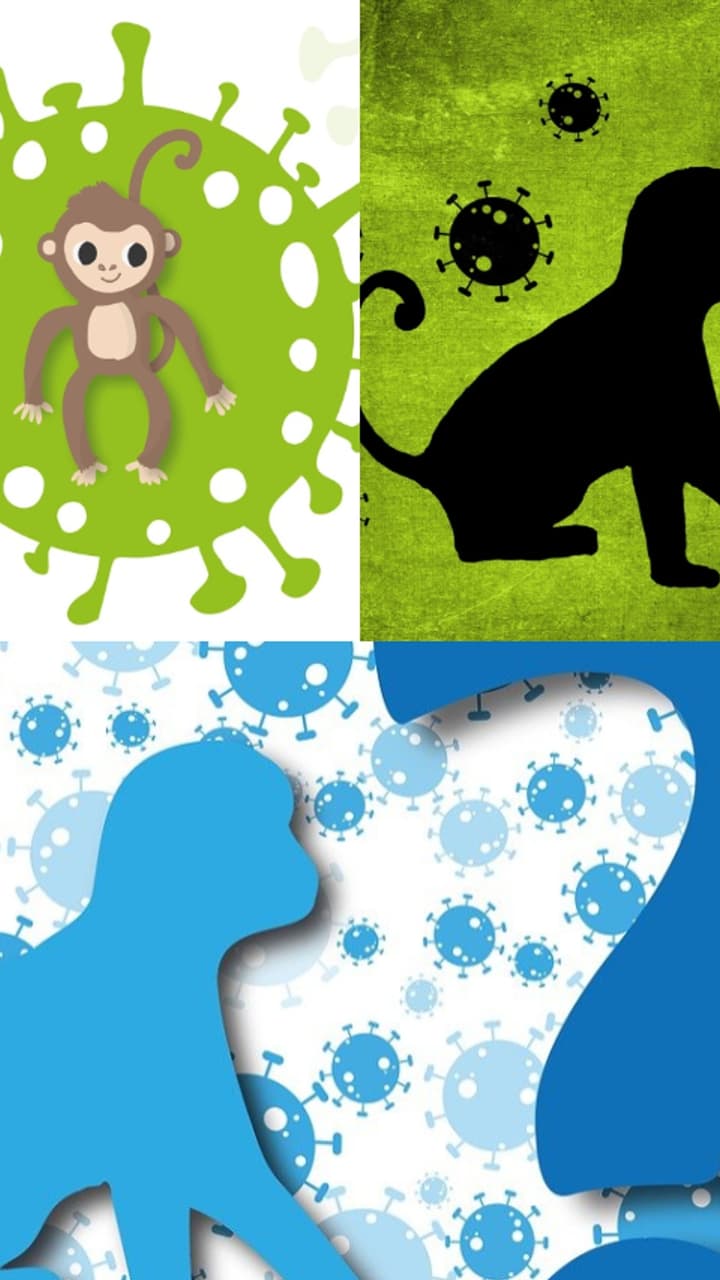 Mpox Outbreak: Causes, symptoms, treatments | Asianet Newsable