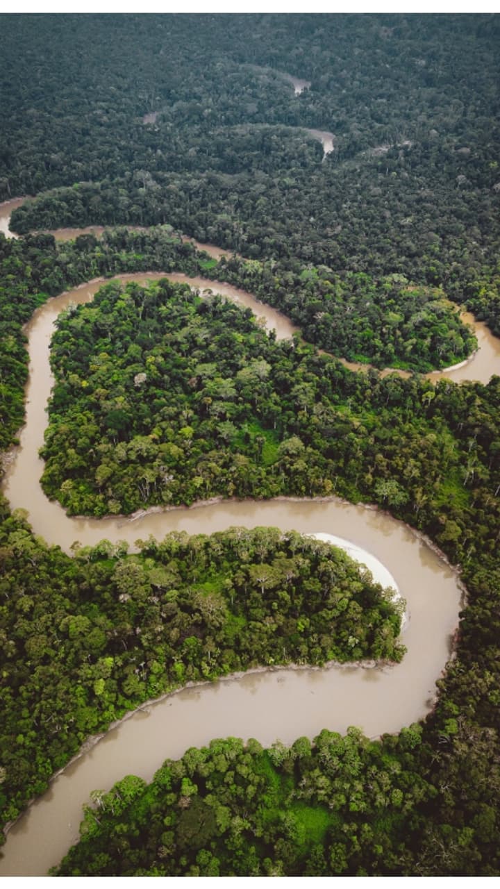 ప్రపంచంలోనే టాప్ 5 రెయిన్ ఫారెస్ట్‌లు ఇవే.. | Worlds 5 Largest ...